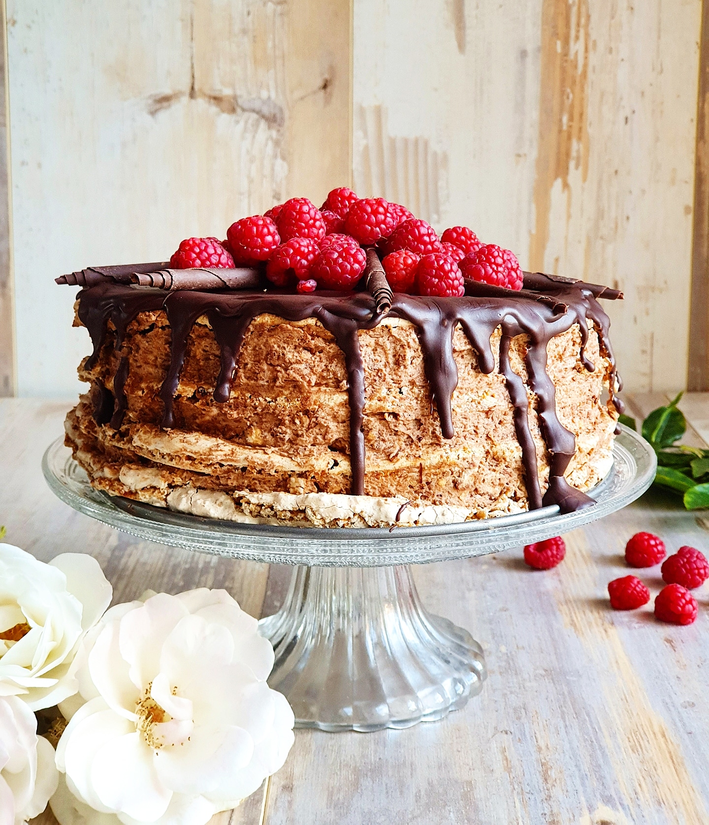 Chocolate Hazelnut Mozart Cake – The Tocka Blog