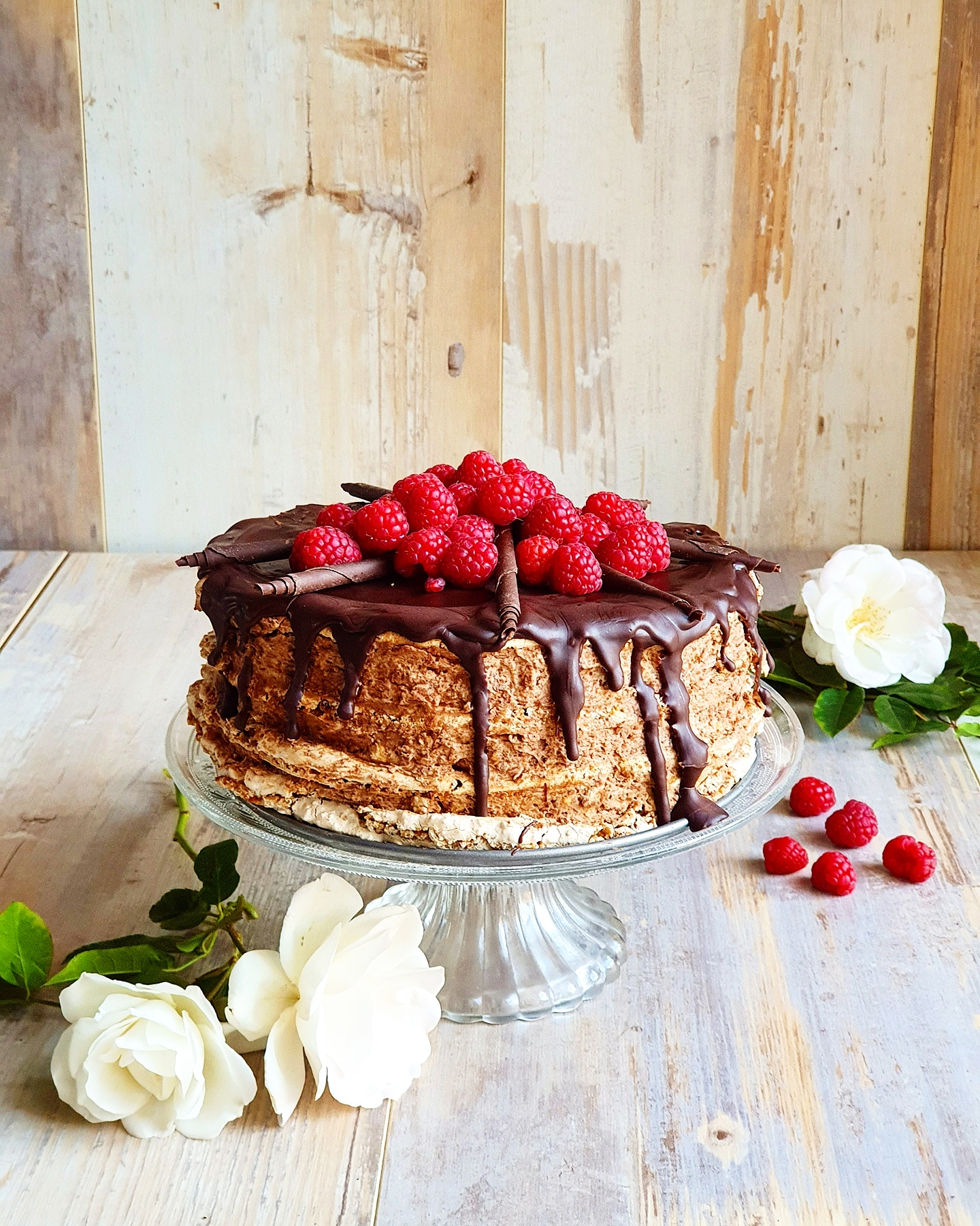 Chocolate Hazelnut Mozart Cake – The Tocka Blog